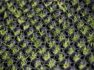 Playground Surfacing | Playground Equipment | Creative Play